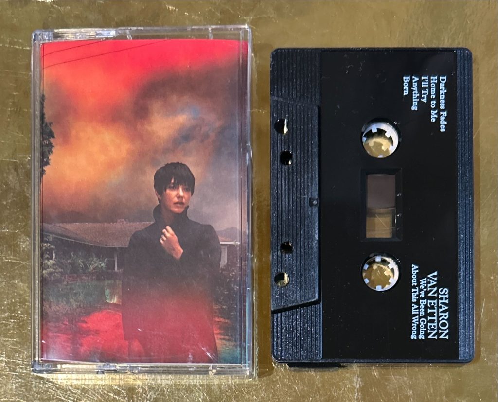 Sharon Van Etten – We’ve Been Going About This All Wrong Kaset – Deform ...
